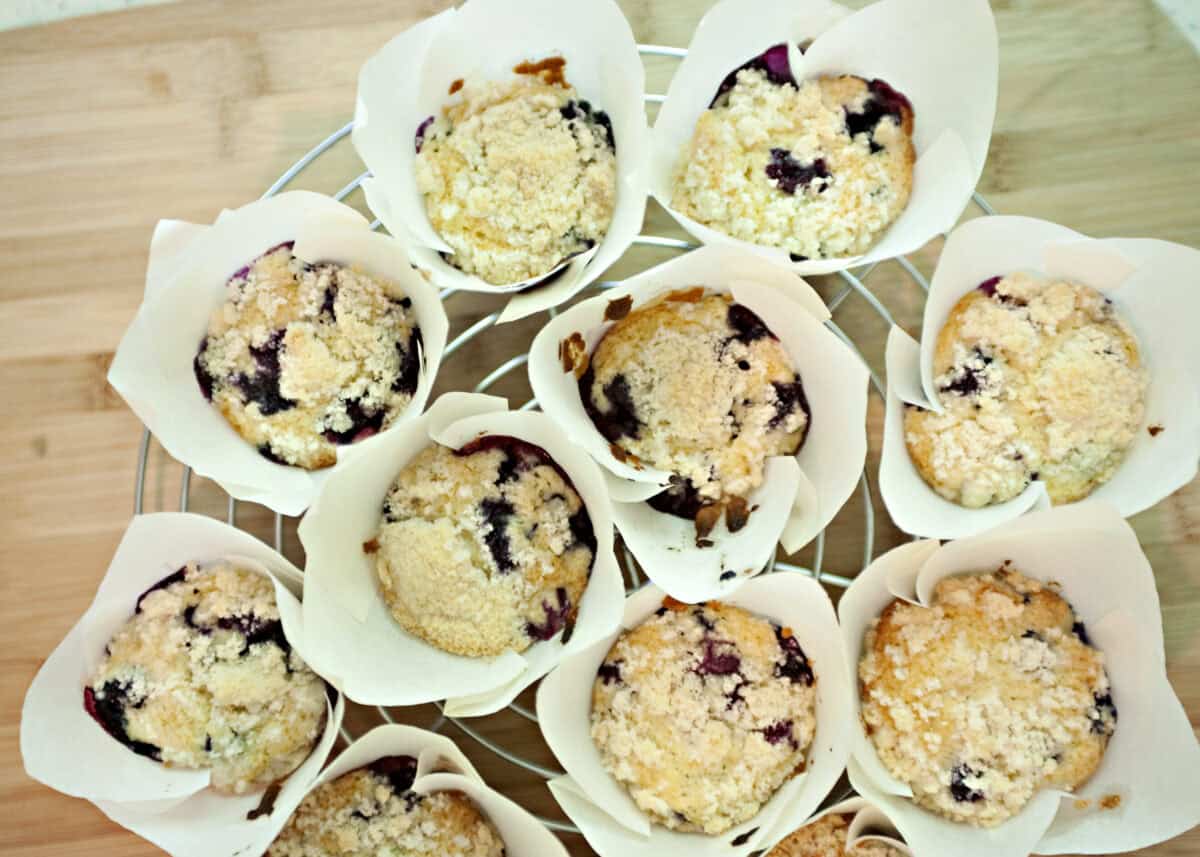 Delicious Blueberry Muffins | Baked Bree