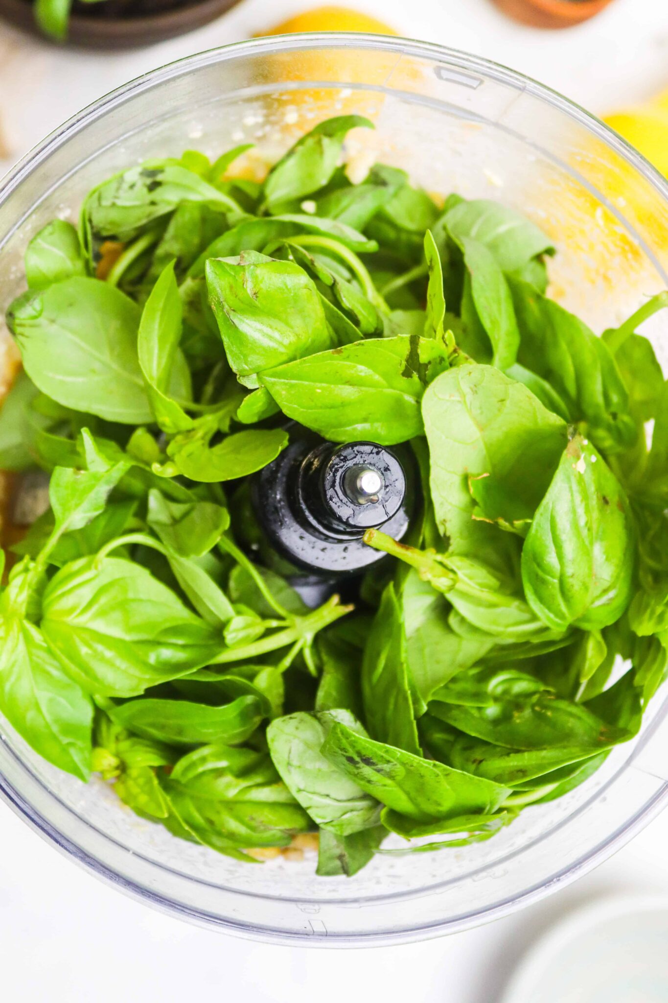 Homemade Basil Pesto Recipe | Baked Bree