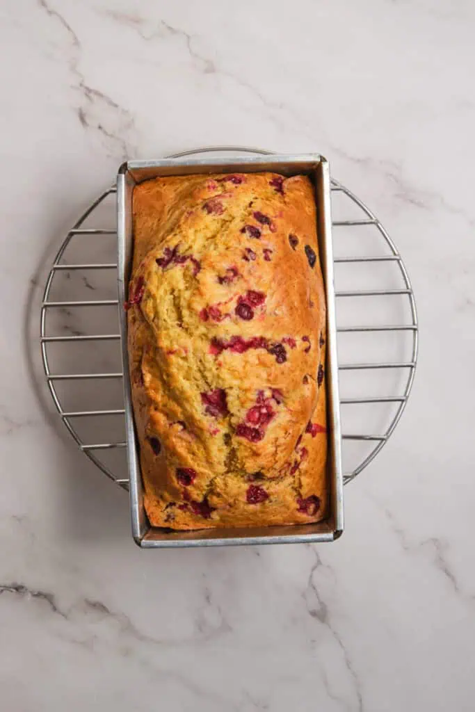 Cranberry Bread | Baked Bree